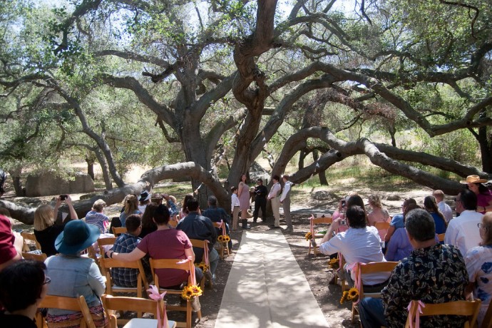 Magical Forest DIY Wedding Under a 200-Year-Old Tree